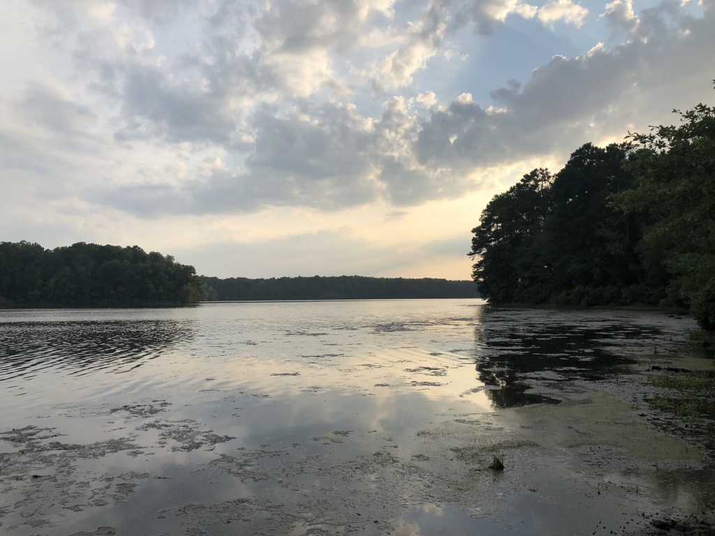 A Guide to Trails at Lake Benson & White Deer Park in Garner