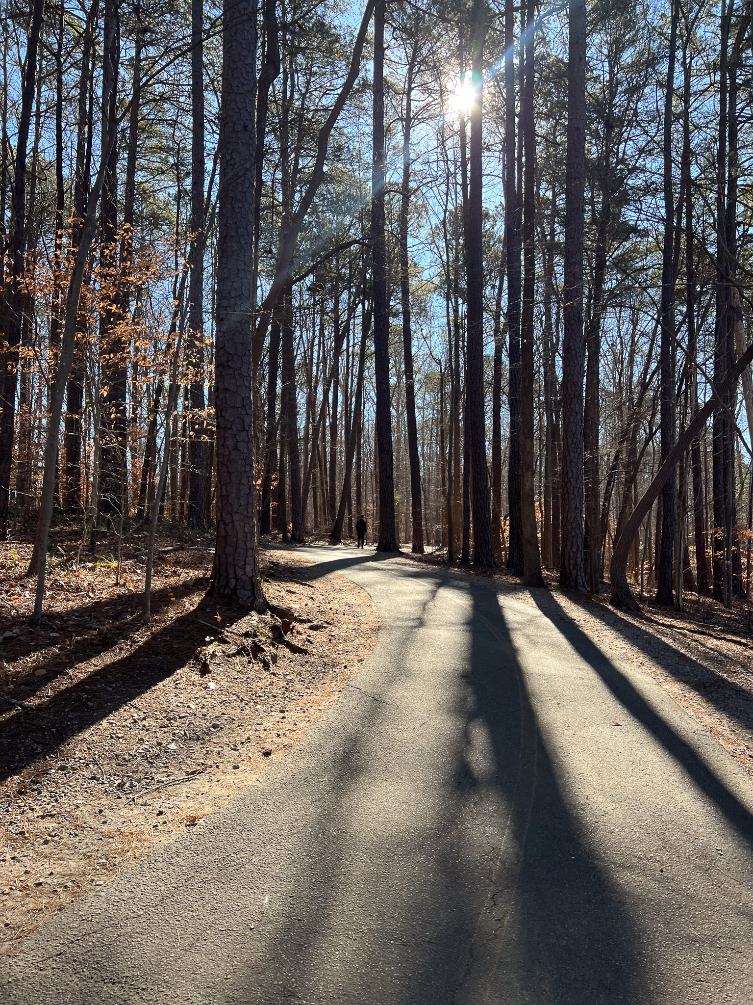 A Guide to Trails at Lake Johnson Park in Raleigh